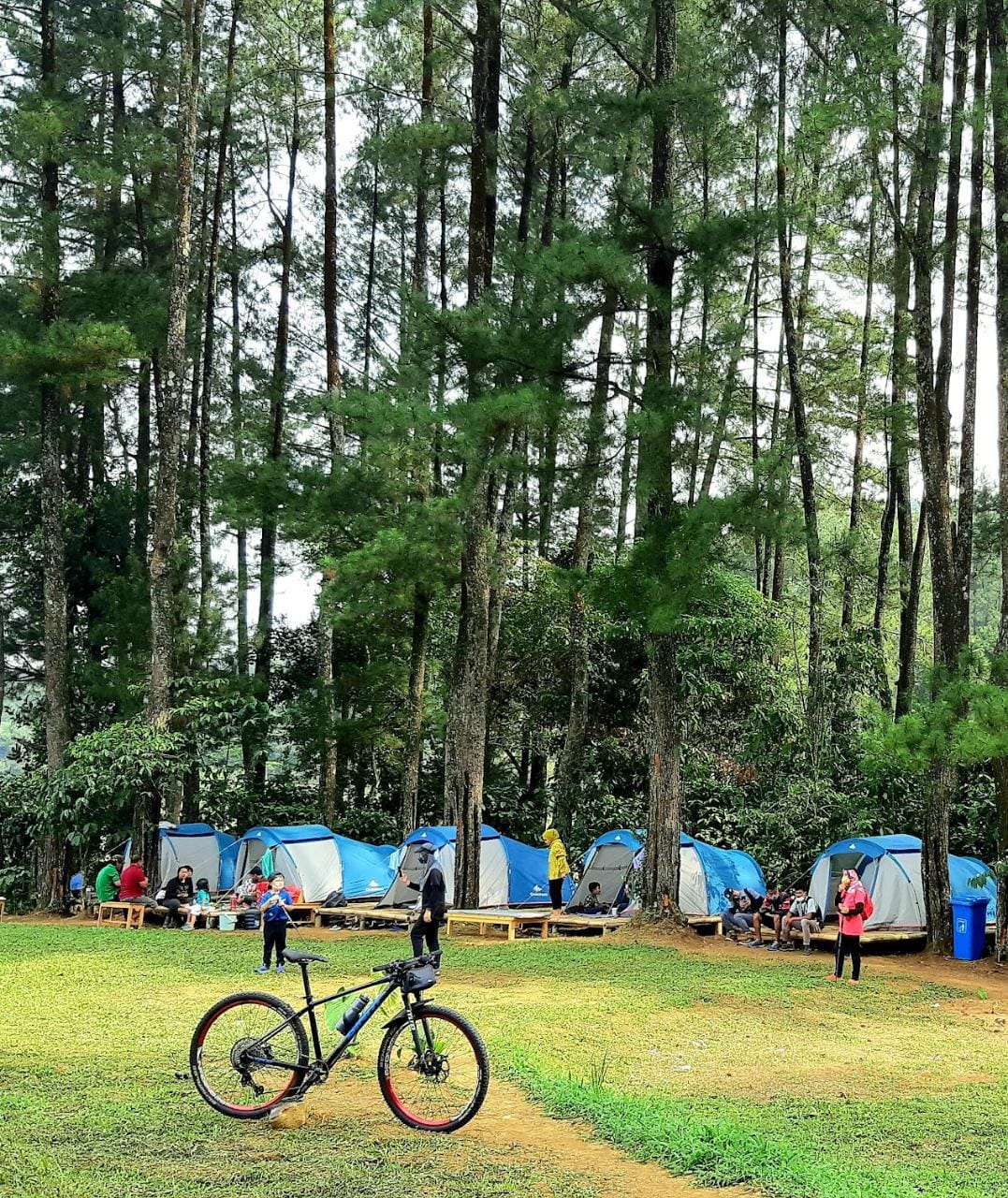 Trekking di Sentul Bogor ini ada Harga Paket Rute Hiking Tracking